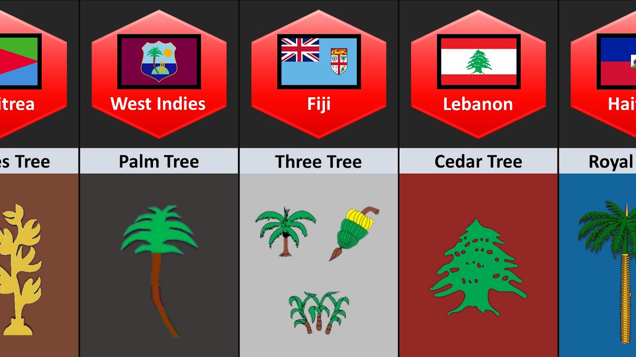 What's Tree In Flag of Different Countries - YouTube