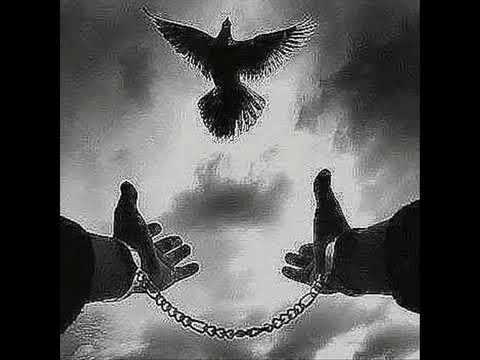 Dolya mesti xumar ( lütfen kanalima abone olun)