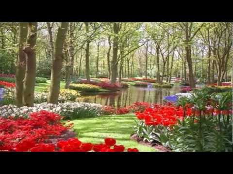 My Choice - André Rieu: Adagio Spartacus - Nature's Beauty