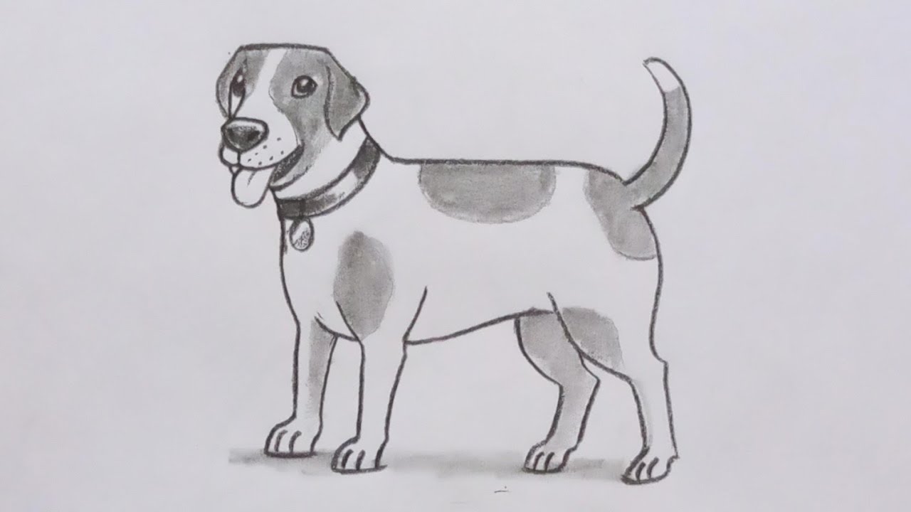 How To Draw Dog||Drawing for beginners||#drawing #art #pencilsketch ...