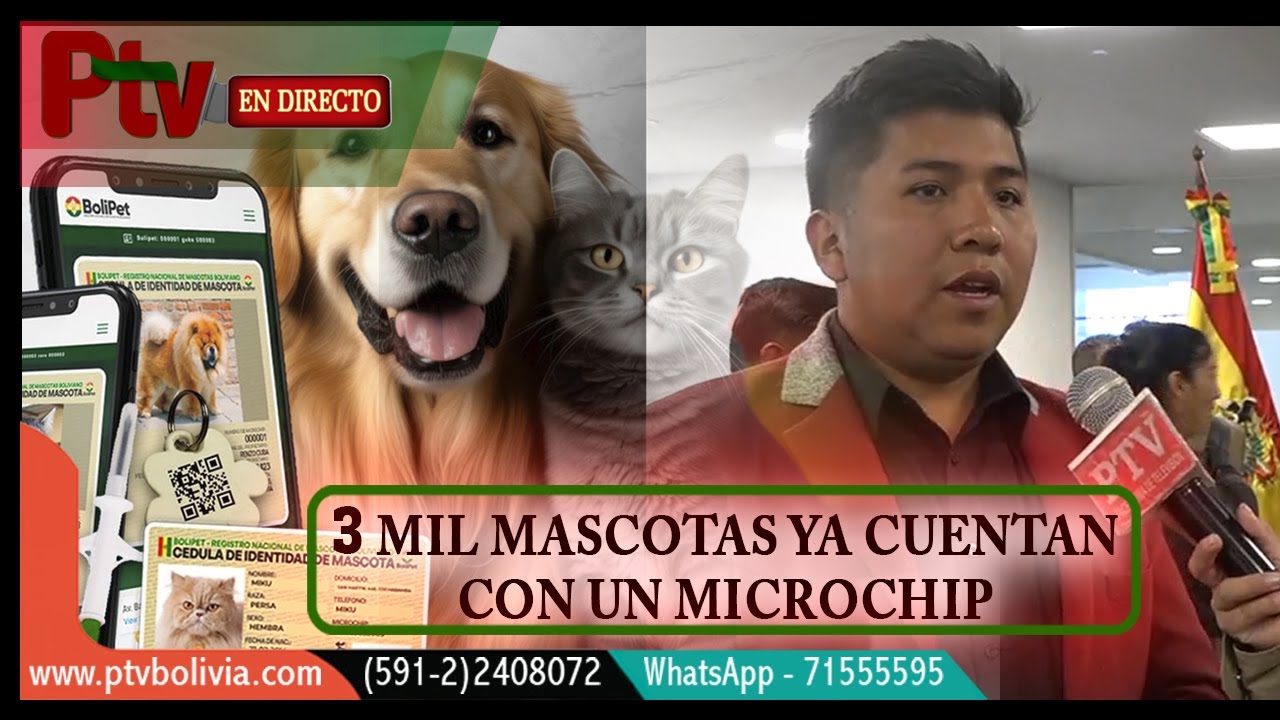 3 MIL MASCOTAS YA CUENTANCON UN MICROCHIP - YouTube