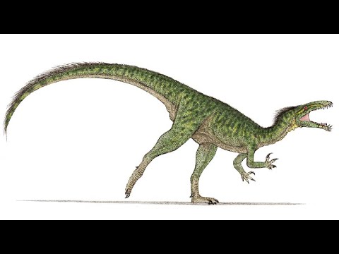 The Masiakasaurus | Der Dinohorst