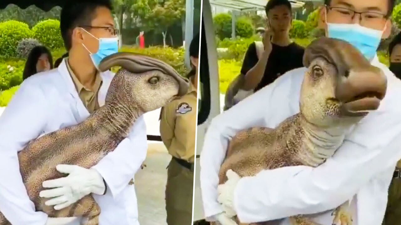 What If Dinosaurs Were Brought Back To Life In 2021? - YouTube