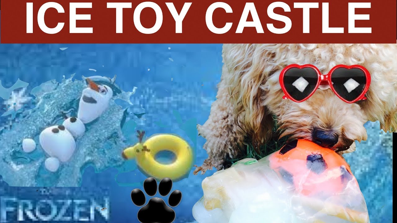 How to make FROZEN ICE DOG TOY CASTLE DIY Dog Food/Treat - a tutorial ...