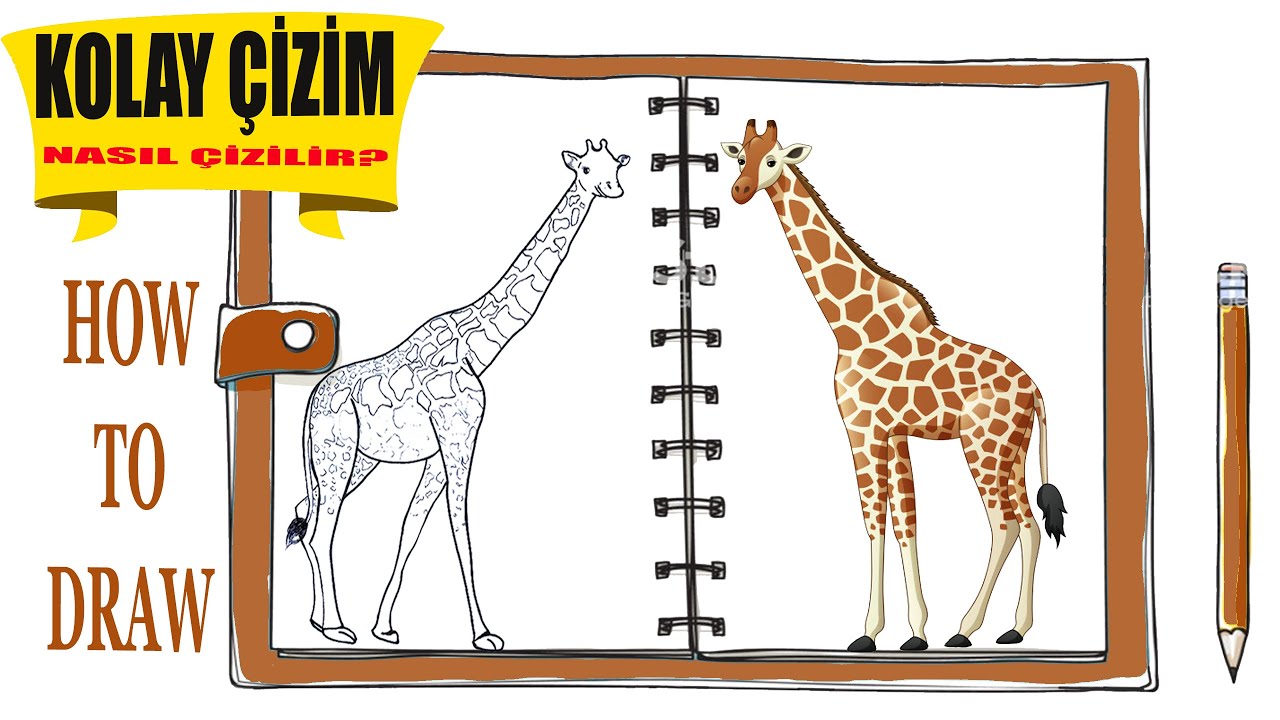 Kolay şekilde Zürafa çizimi / Easy How to draw Giraffe - YouTube