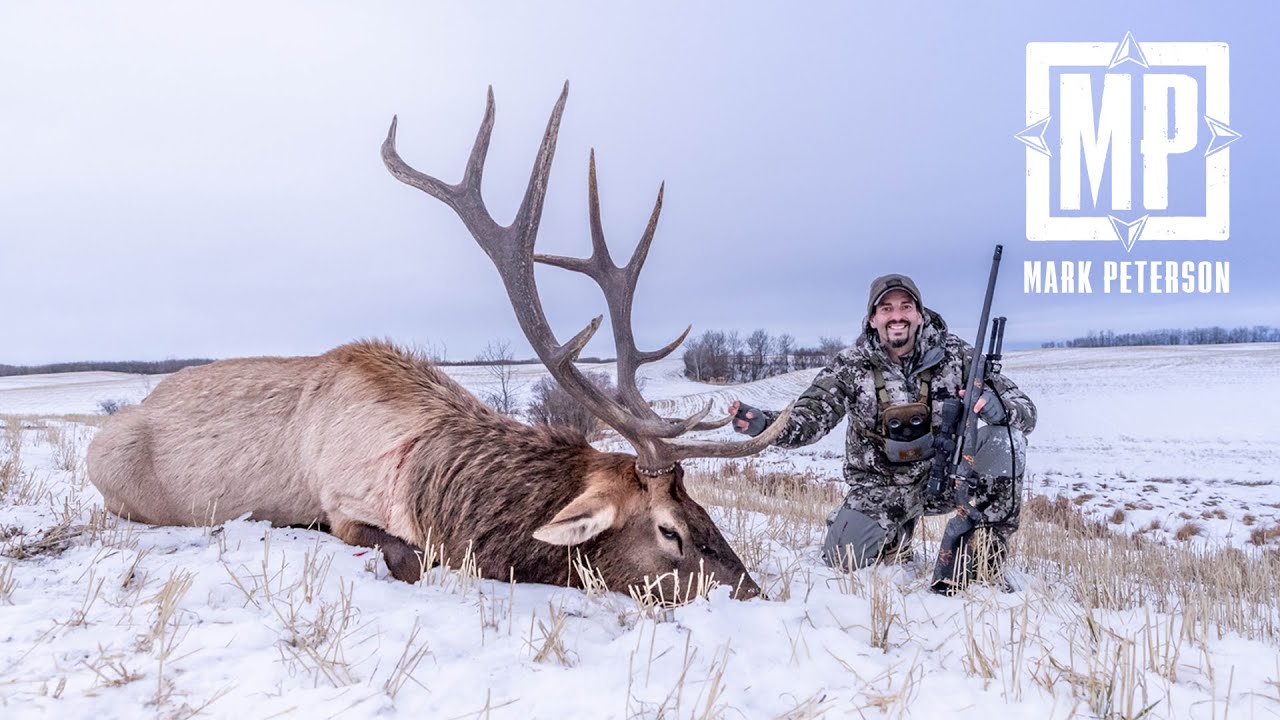 Late Season Snowy Alberta Elk Hunt | Mark Peterson Hunting - YouTube