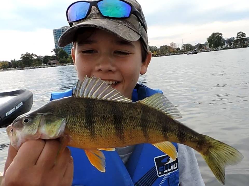 Jumbo Perch fishing from a canoe - YouTube
