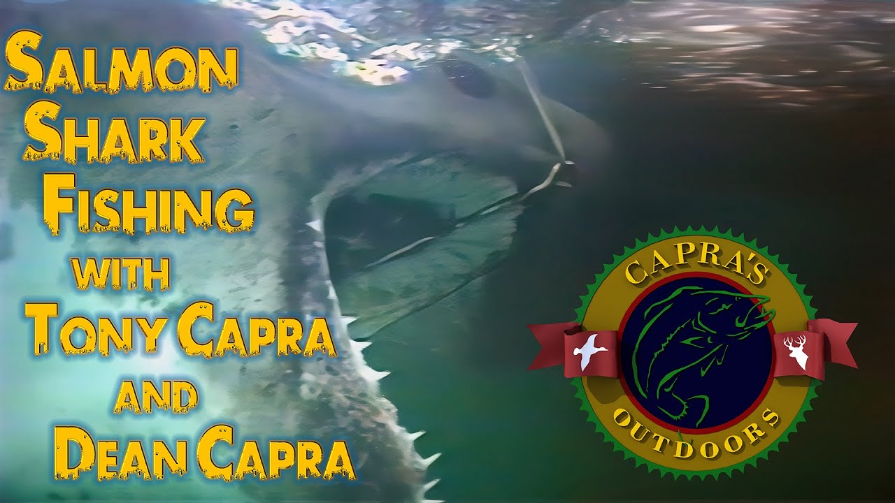 Salmon shark fishing with Tony Capra - YouTube