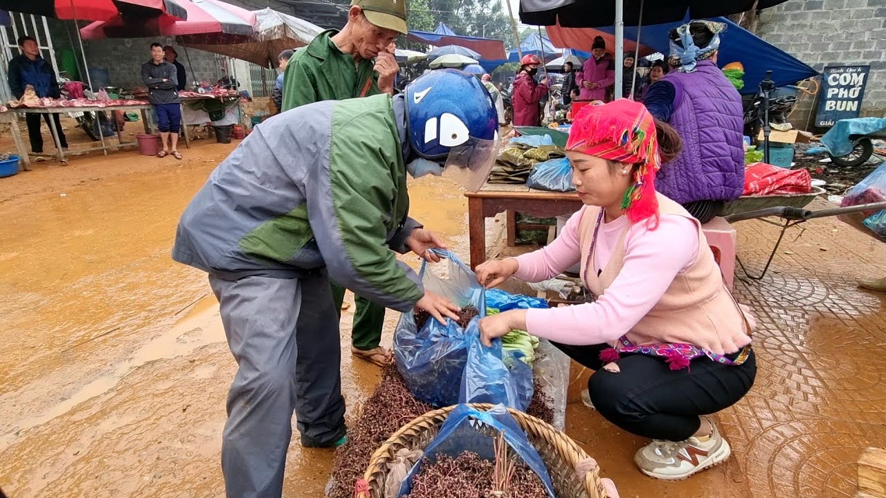 Harvesting vegetables & Forest Pepper Goes to the market sell | Đặng ...