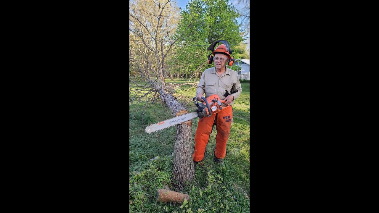 Cutting Small Diameter Yard Trees - YouTube