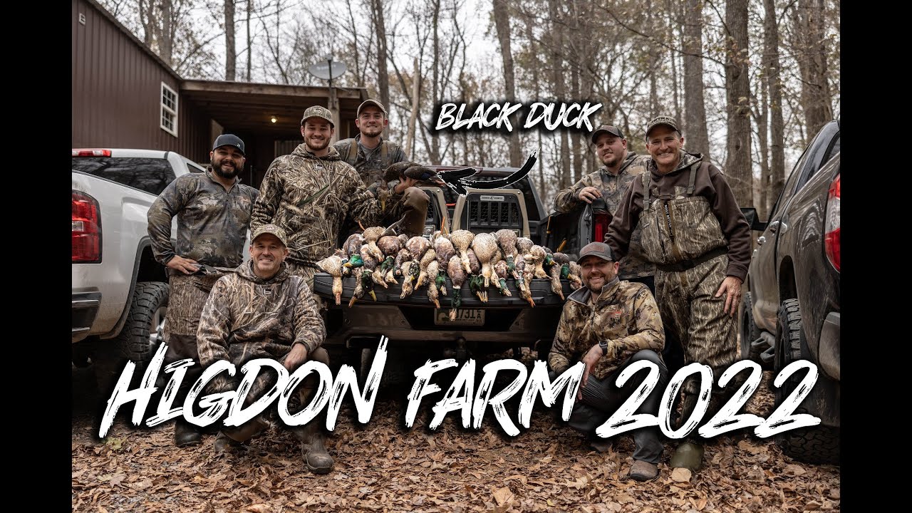 BEAU HUNTING - "Higdon Farm 8 Man Limit" - YouTube