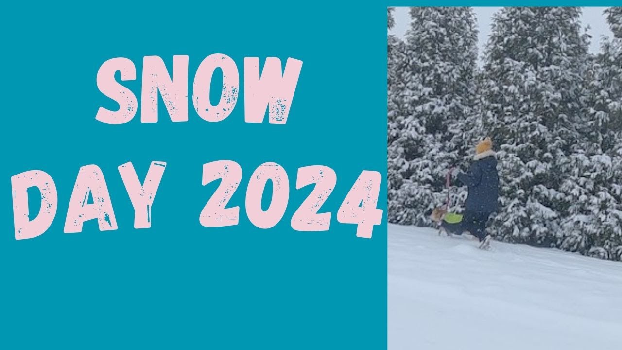 Snow Day Jan 19th FriYay - YouTube