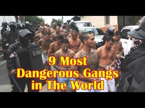 Top 9 Most Dangerous Gangs in The World - YouTube
