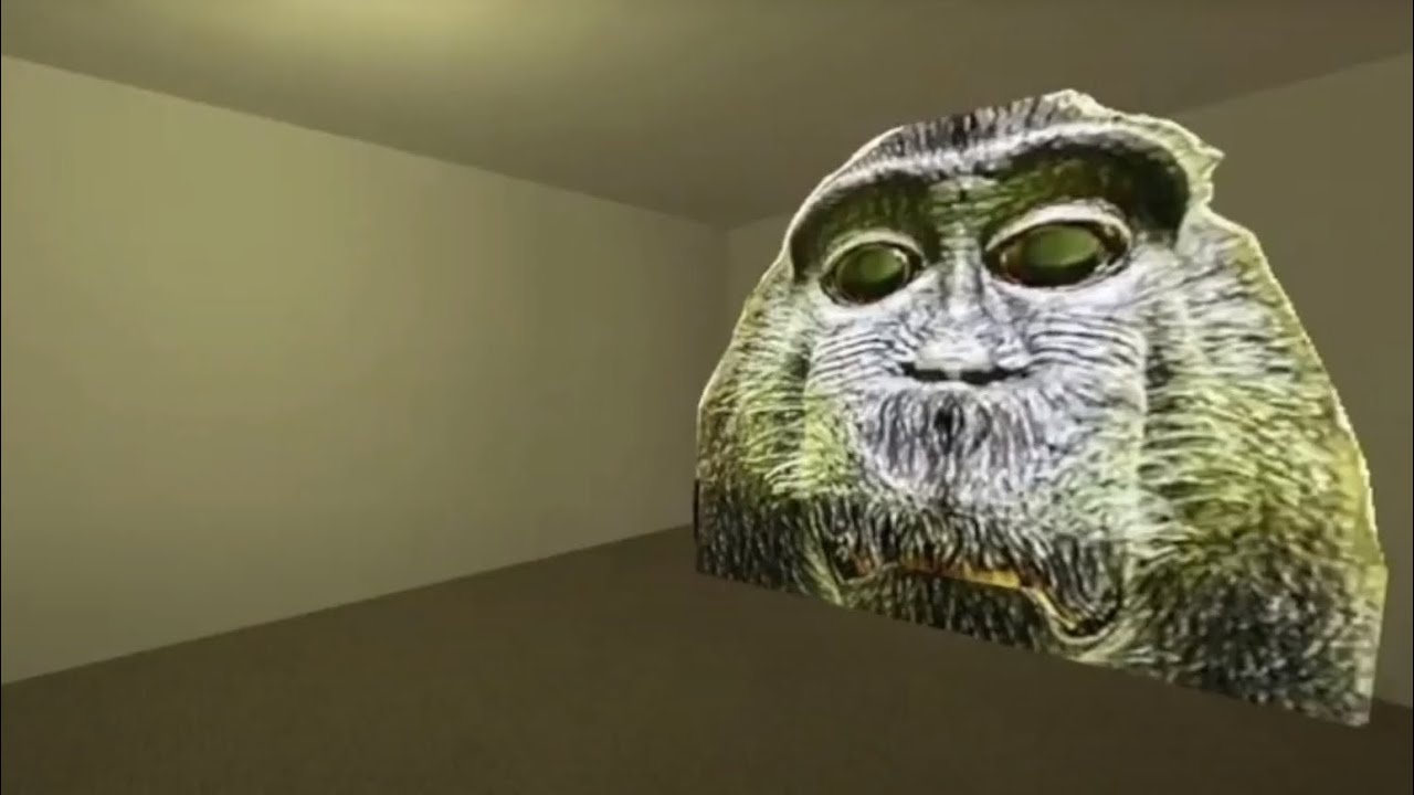 Monkey Nico’s nextbots - YouTube