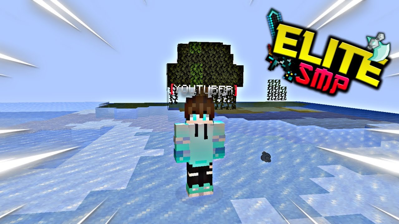 I JOINED FAKE ELITE SMP - YouTube
