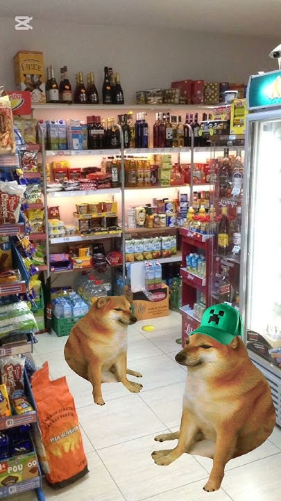 Abro hilo de cuando una madre con derecho me quería robar mi cereal #cheems #perros #mascotas ...