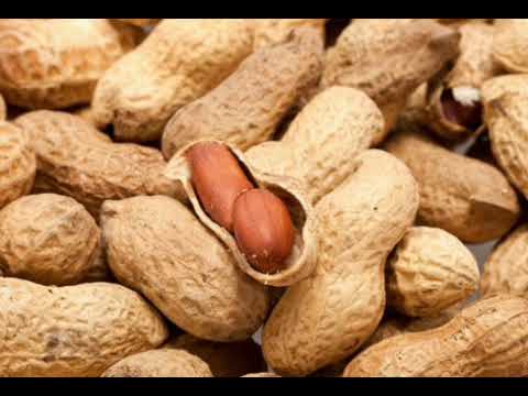 Faaidada iyo Waxtarka Geedka Looska - YouTube