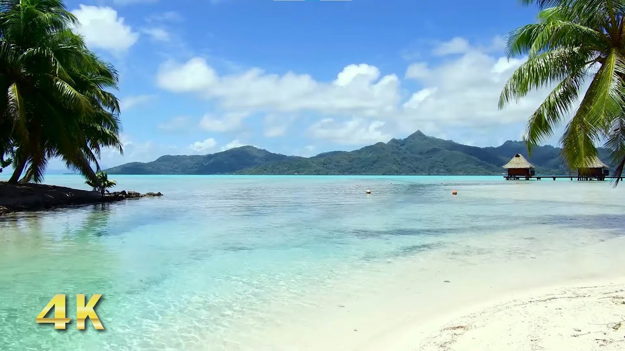 【4K】Beautiful Tropical Island with Soothing Waves | Nature Sounds ...