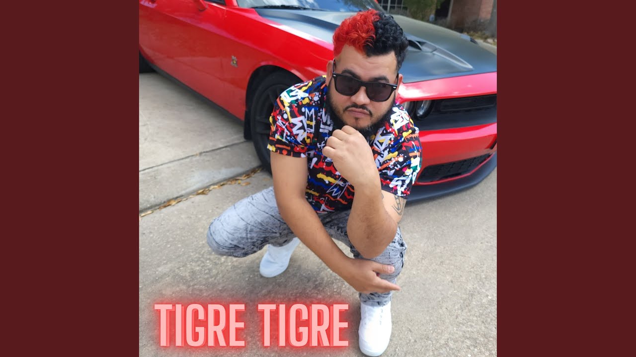Tigre Tigre (Remix) - YouTube