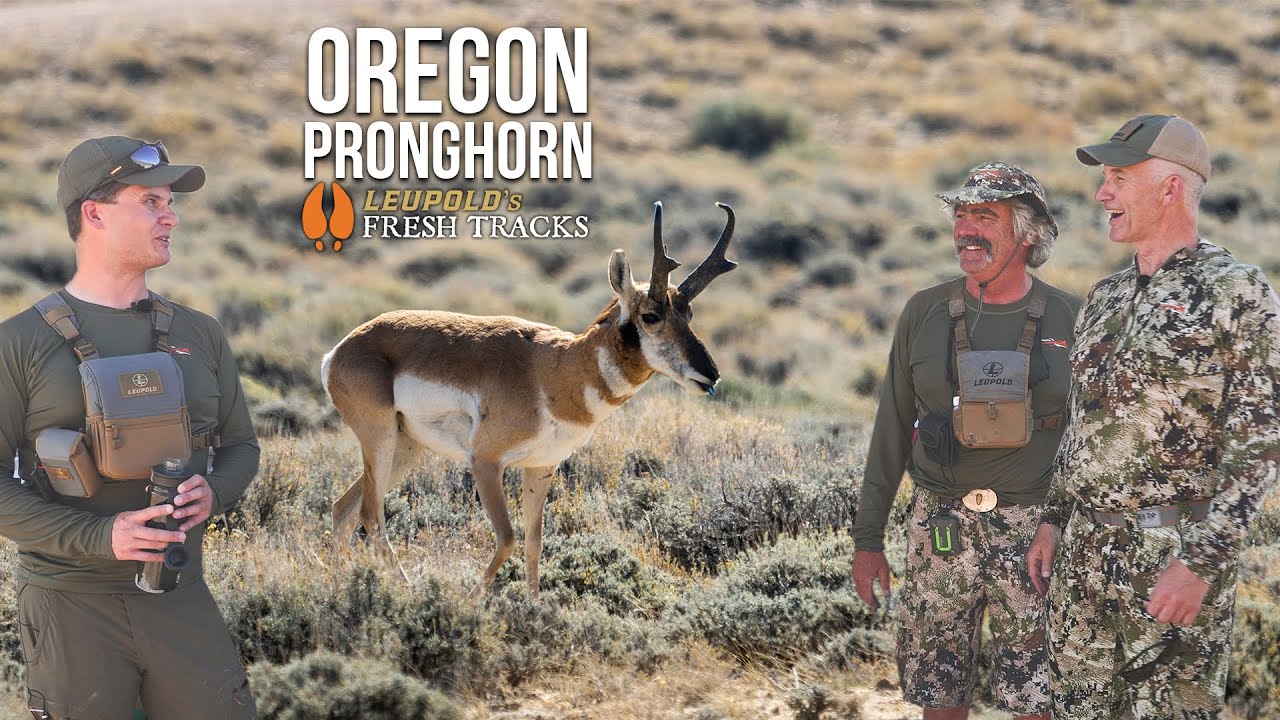 Chasing Pronghorn & Exploring Oregon’s Changing Landscape - YouTube