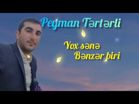 Peyman Terterli. Yox Sene Benzer Biri.2024
