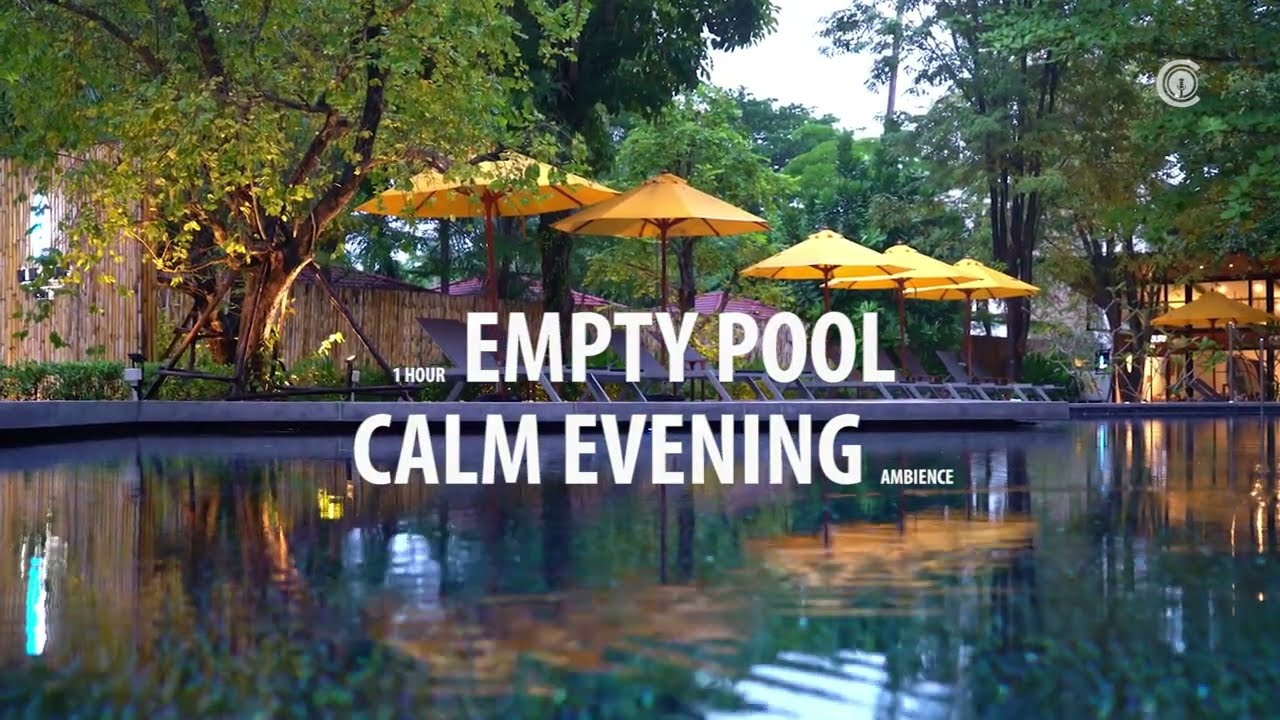 Calm Evening at the Poolside | Beautiful Relaxing Ambience - YouTube
