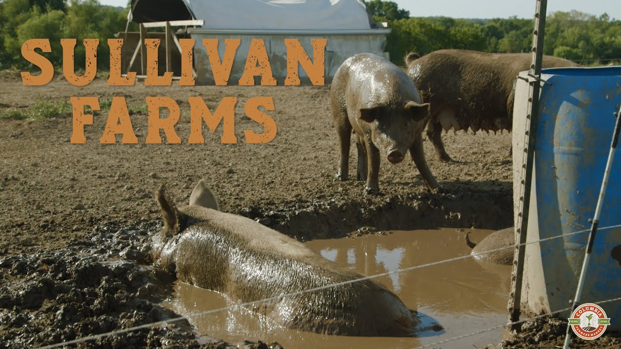 Sullivan Farms - YouTube