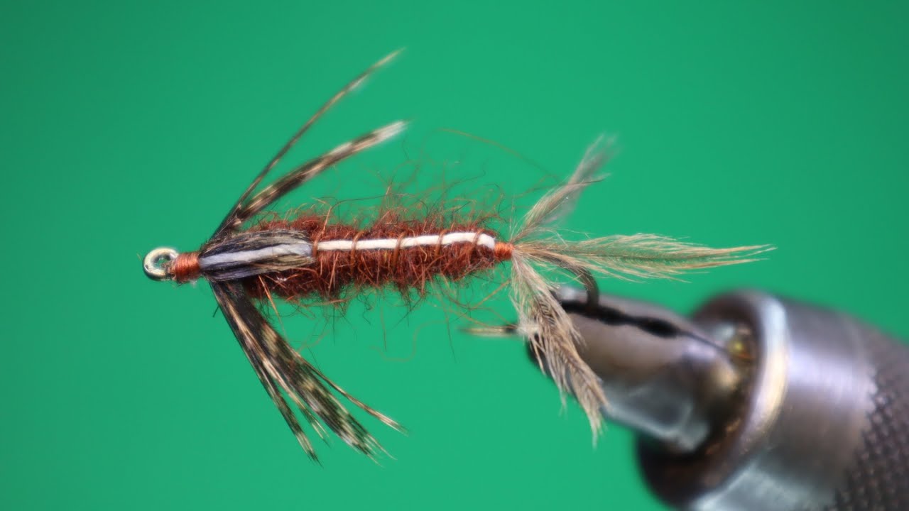 ISONYCHIA NYMPH - FLY TYING TUTORIAL - YouTube