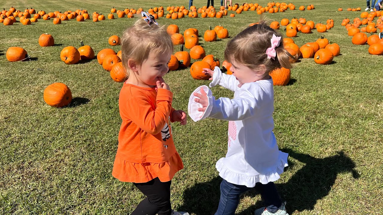 Hill Ridge Farms Fall 2022 - YouTube