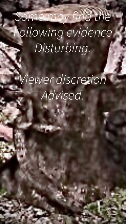 Sequence-3_Audio-File - YouTube