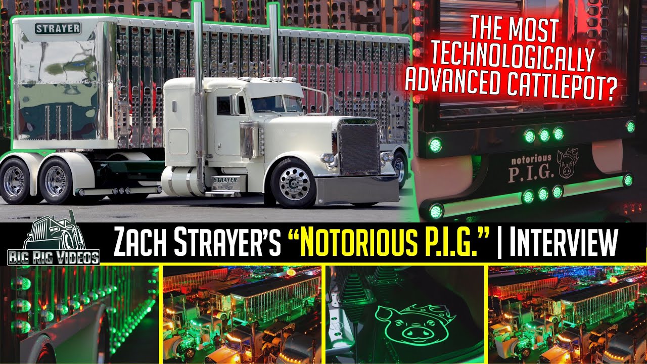 Zach Strayer's "Notorious P.I.G." - Interview - YouTube