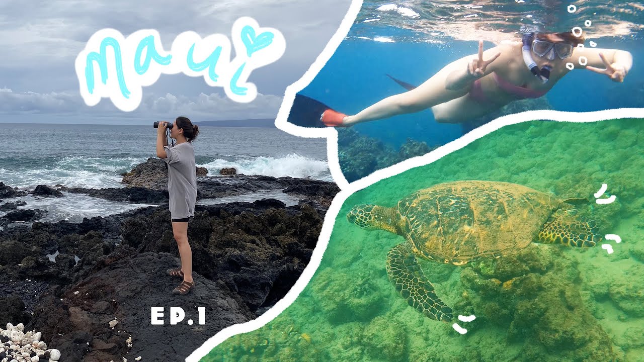 HAWAII VLOG (MAUI) | sea turtles, seafood, & sea hikes | ep. 1 - YouTube