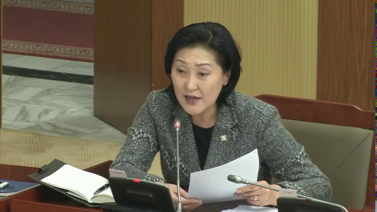 Ц Цогзолмаа Хөдөлмөрийн тухай хуулийн төслийн хувь хүний болон ажил хэргийн чанар гэсэн