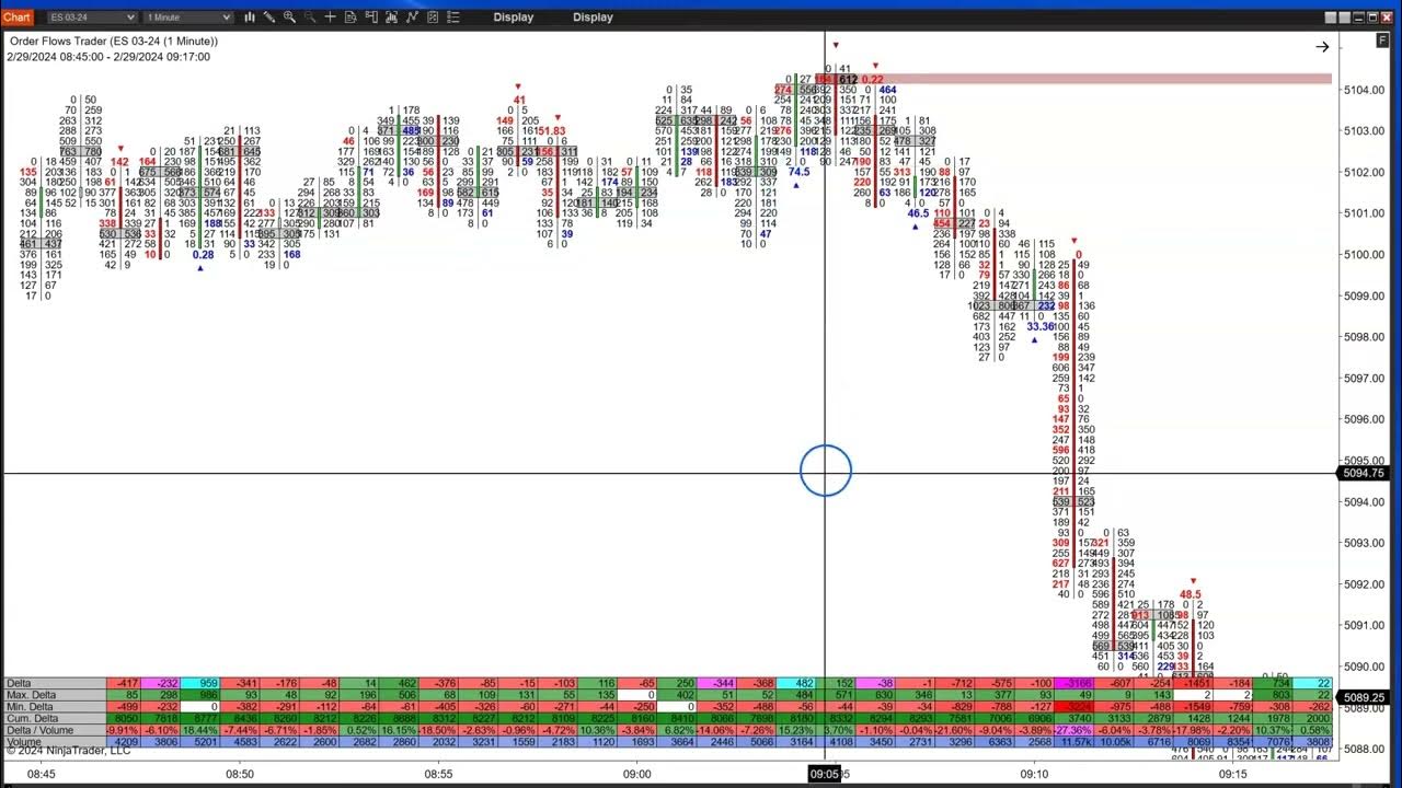 Orderflows Trader 7 Order Flow Trading Software For NinjaTrader 8 - YouTube