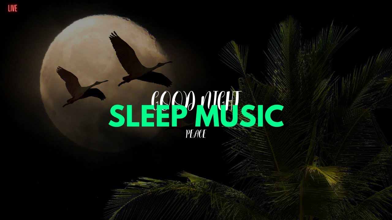 Good Night Music | Meditation | Relaxing Sound | Peace - YouTube