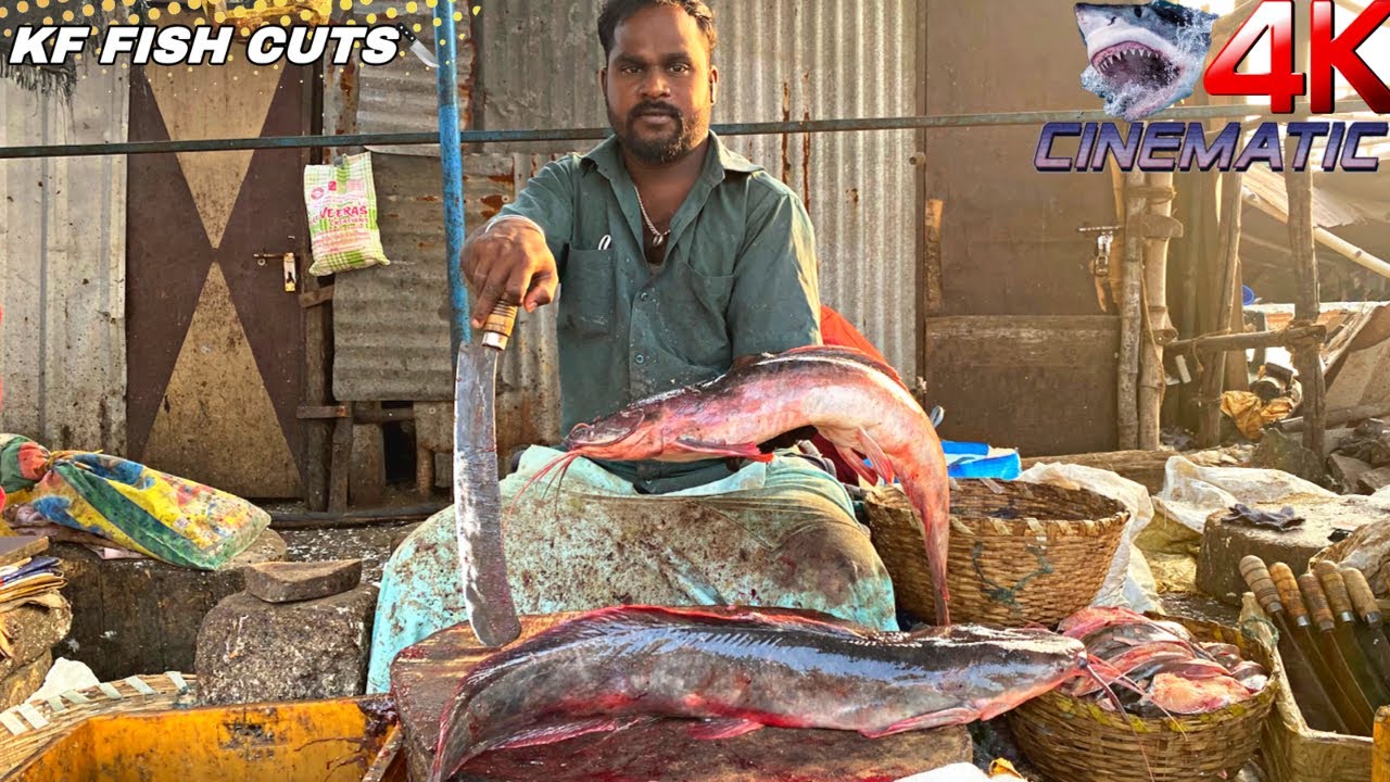 FASTEST CAT FISH CUTTING BY SELVAM BROTHER🔪KASIMEDU FISH CUTTING🔪KF ...