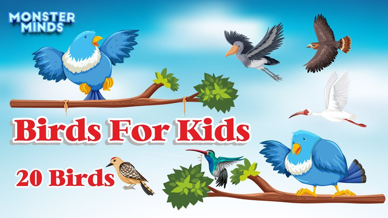 Identify and Learn Bird Names | Exploration of Birds | Wings of Wonder ...