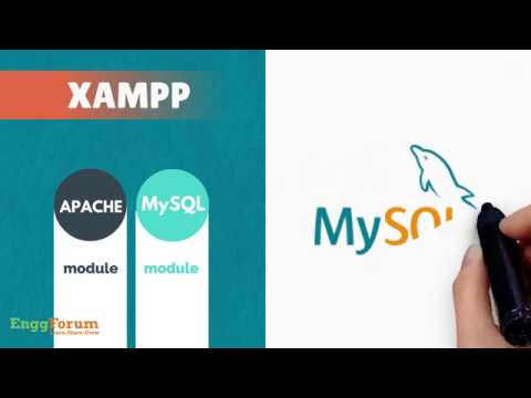#20. XAMPP Control Panel Modules | EnggForum - YouTube