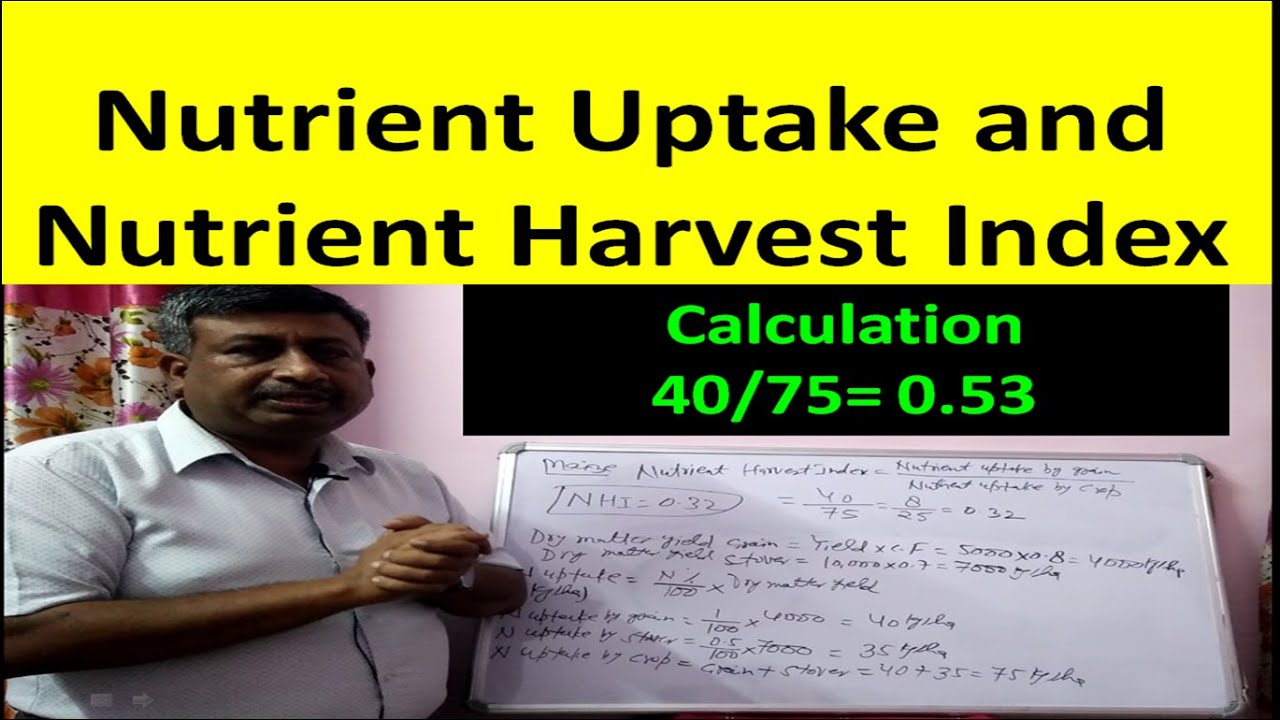 Nutrient Uptake And Nutrient Harvest Index YouTube Nutrient Uptake And Nutrient Harvest Index YouTube
