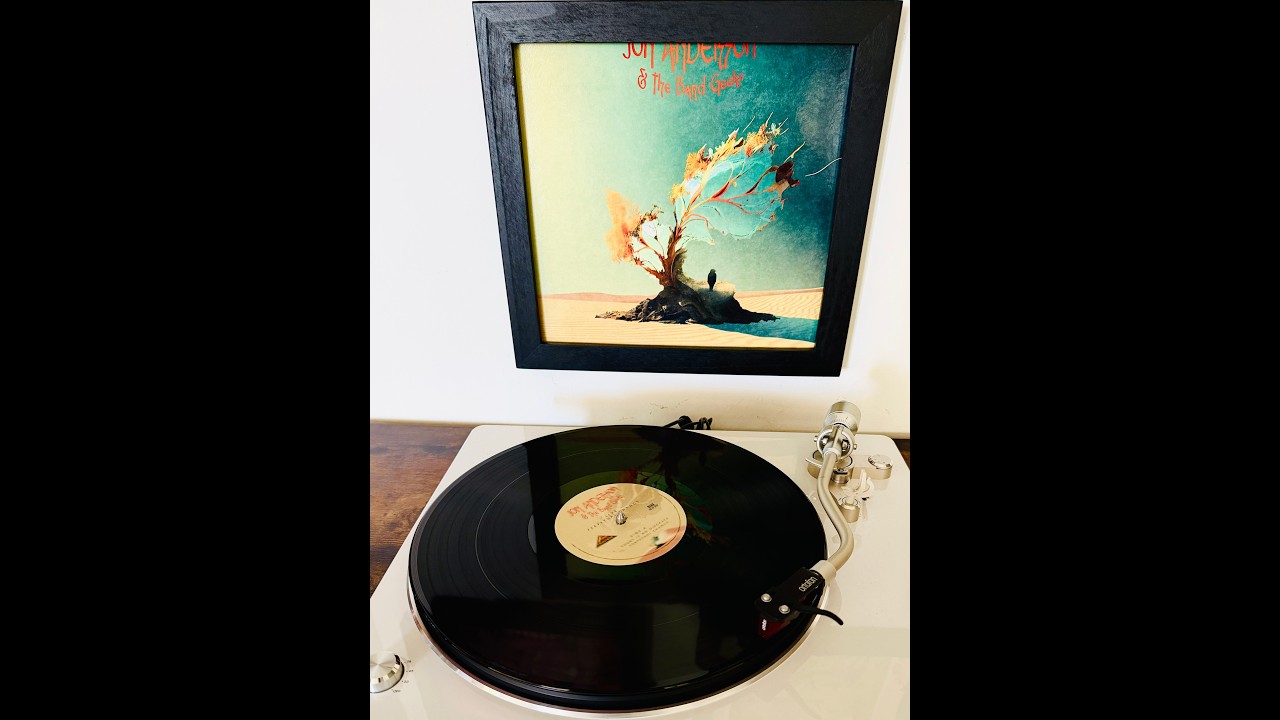 Live - Perpetual Change di Jon Anderson & The Band Geeks, album del ...