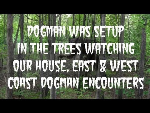 DOGMAN SETUP IN THE TREES WATCHING OUR HOUSE, EAST & WEST COAST DOGMAN ...