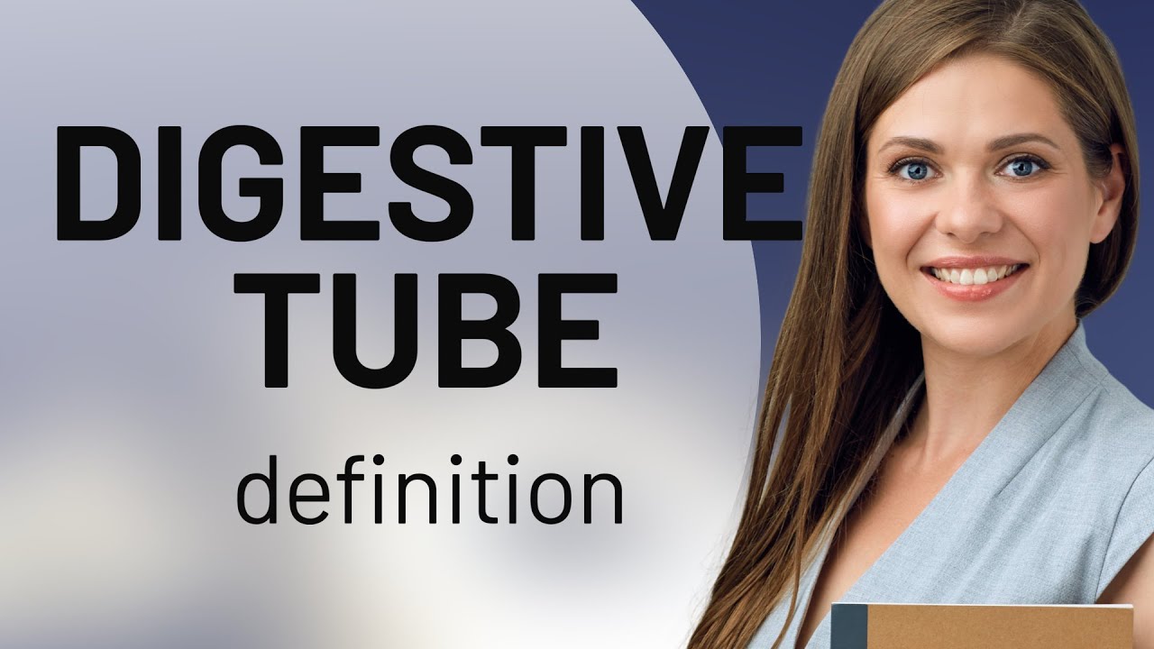 Digestive tube — definition of DIGESTIVE TUBE - YouTube