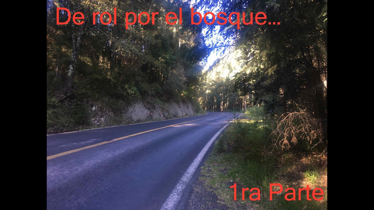 De rol al bosque - Parte 1 - YouTube