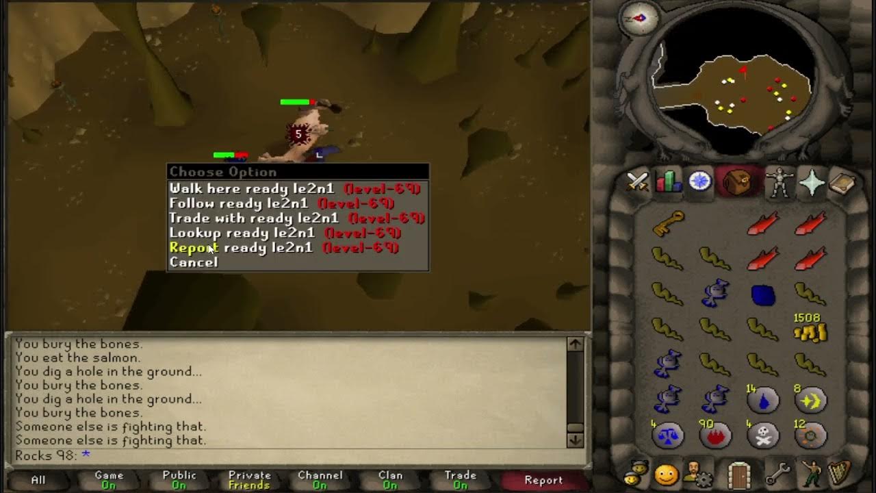 The BEST Thing About Bots In Runescape - YouTube