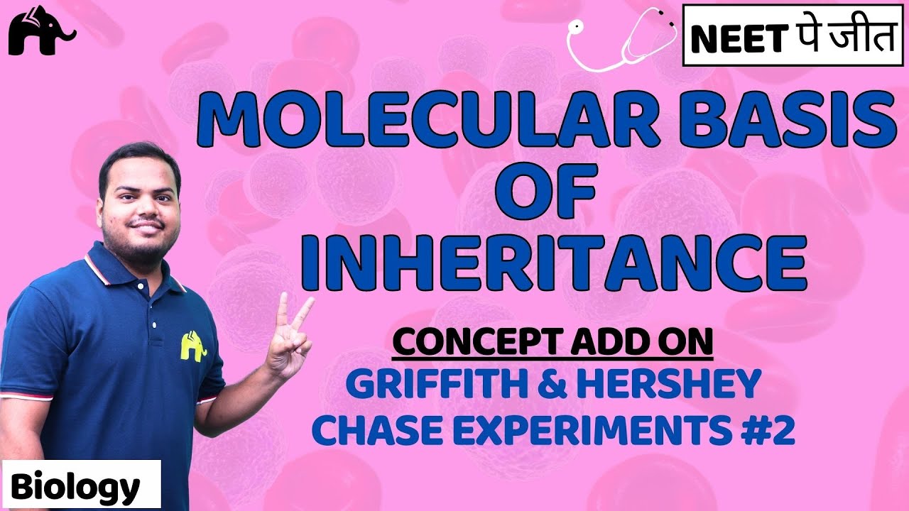 Molecular Basis of Inheritance Class 12 Biology NEET | NCERT Chapter 6 ...