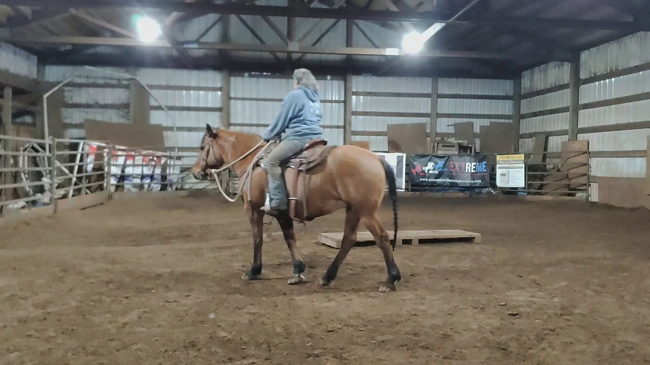 She didn't buck! Woo hoo!! - YouTube