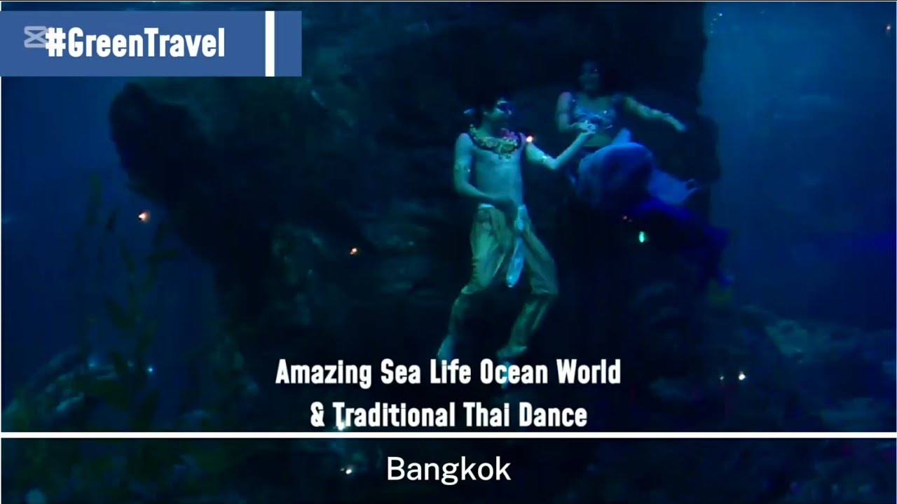 Amazing Sea Life Ocean World & Traditional Thai Dance - YouTube