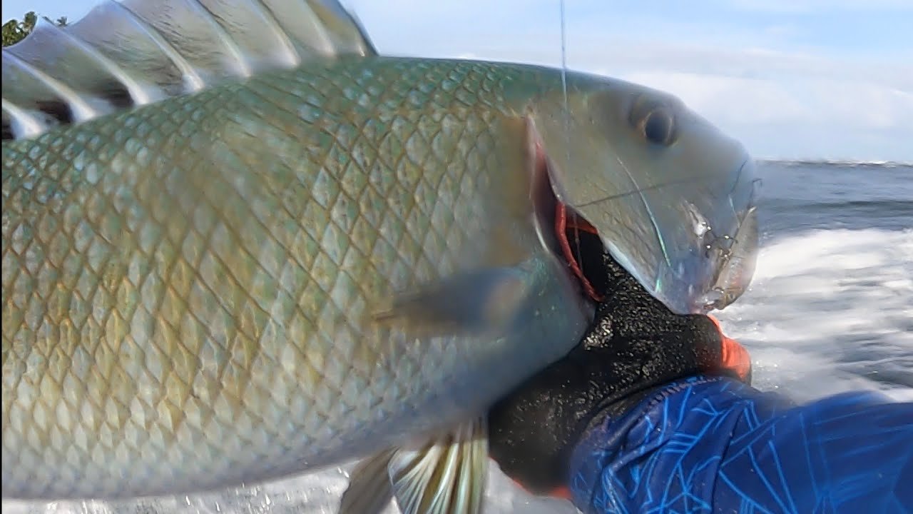 PINAKA MALAKI KUNG HULI SA CASTING, GREENJOB FISH(MALAGUNO) 3KLS ...