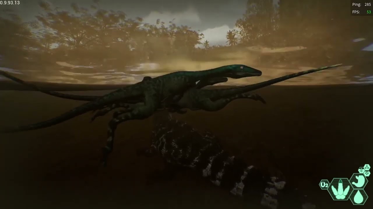 Compy has swimming animation? (The Isle - Evrima) - YouTube