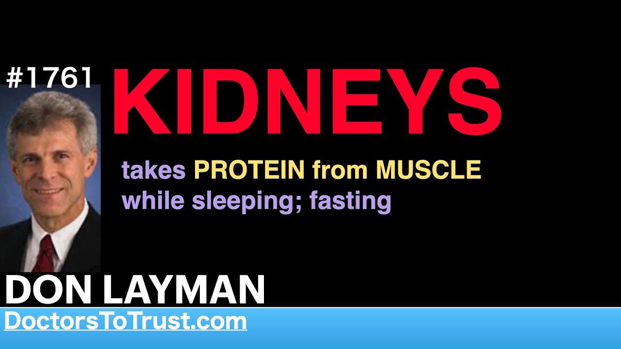 DON LAYMAN | KIDNEYS: takes PROTEIN from MUSCLE while sleeping; fasting ...